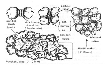 ARTI PENTING TEKSTUR DAN PORI TANAH DAN PENGARUHNYA BAGI TANAMAN | Best ...